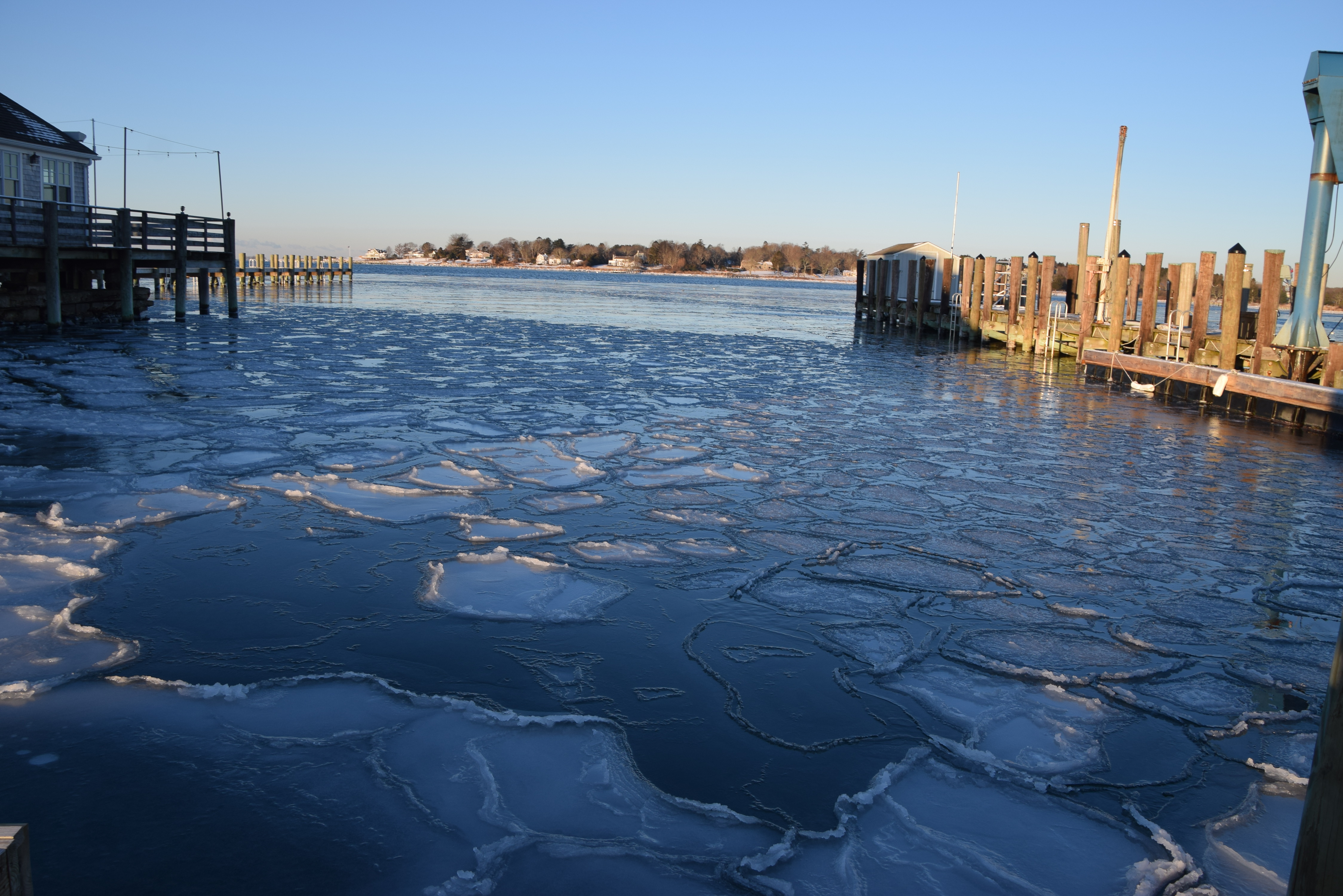 Can the Ocean Predict a Harsh Winter? - New England Science & Sailing